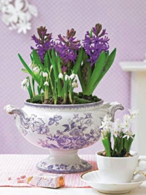 12 O21 Février 2016 image pour ma douce Harmony