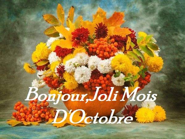 20 410 septembre 2021>Très beau weekend d Octobre